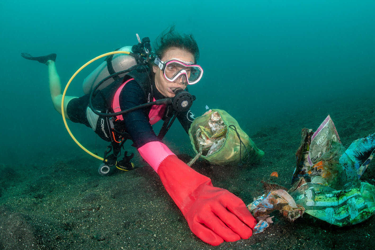 Tiny Fish Couple Make Home Out Of Human Trash - The Dodo