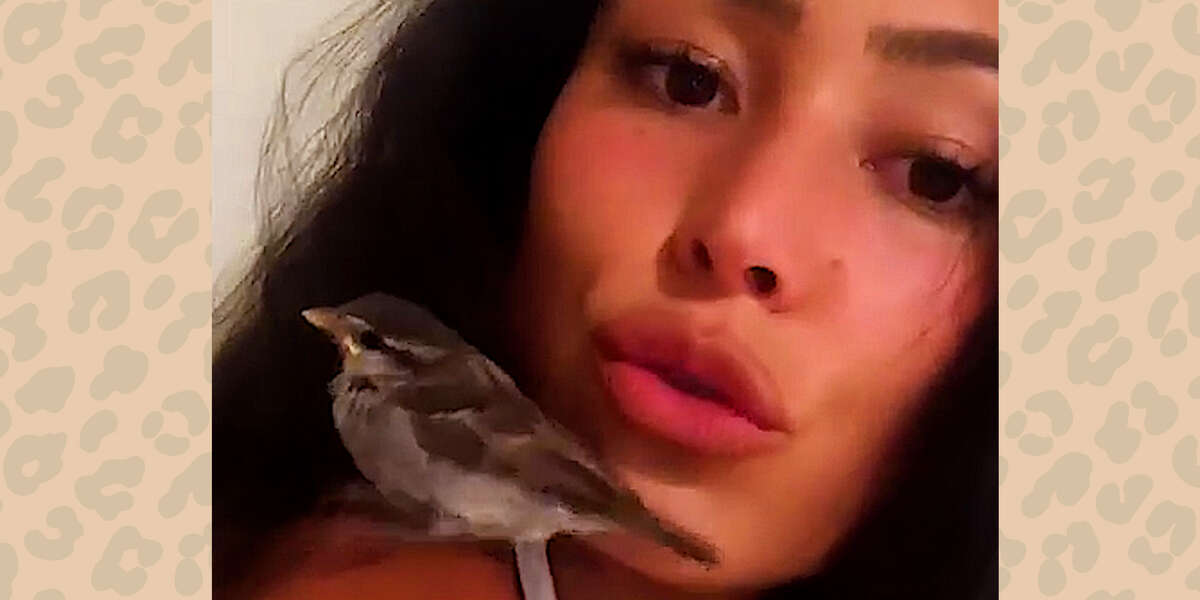 Woman Rescues And Raises A Baby Sparrow - Videos - The Dodo