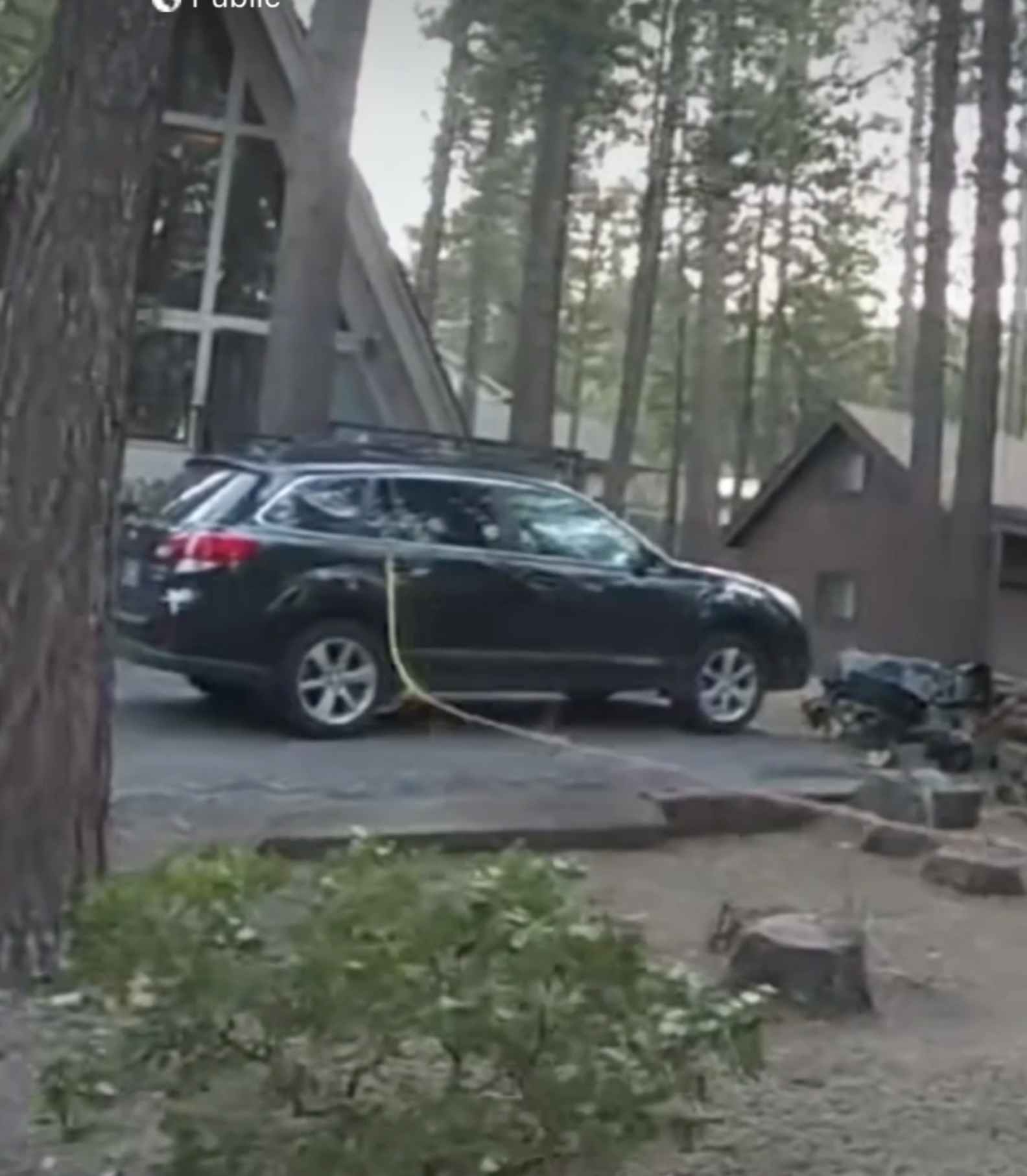 Cops Devise A Clever Plan To Free Enormous Intruder Trapped Inside Car ...