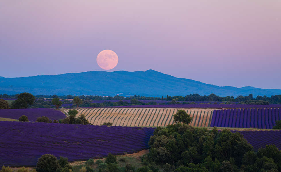 Here's How to See the Strawberry Moon This Weekend - Thrillist