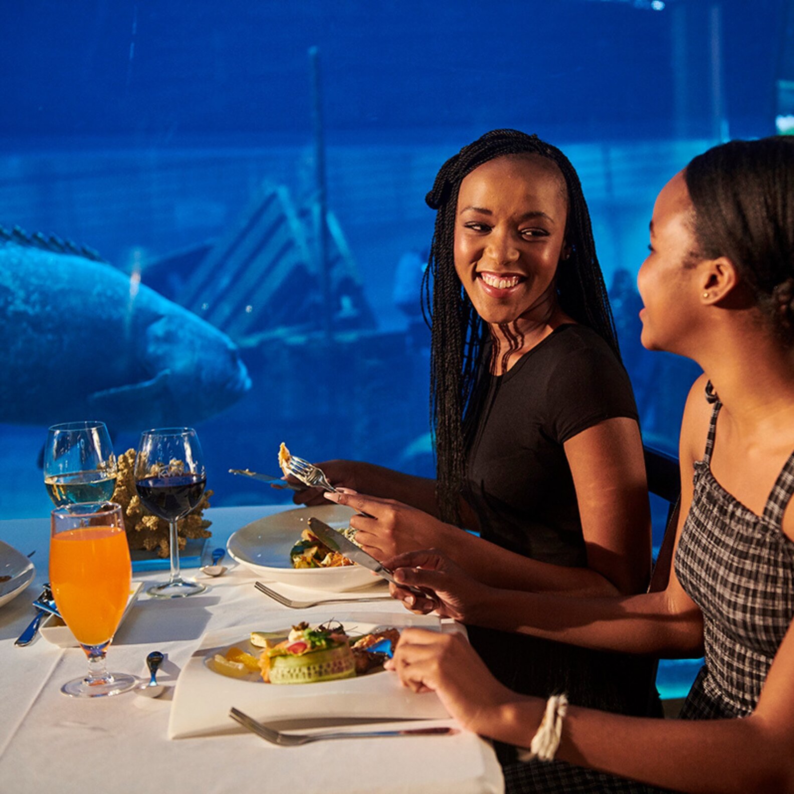 Best Underwater Dinner Experiences Around the World - Thrillist