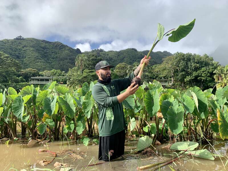 Sustainability Includes the Earth, Cultures, and Communities on These ...