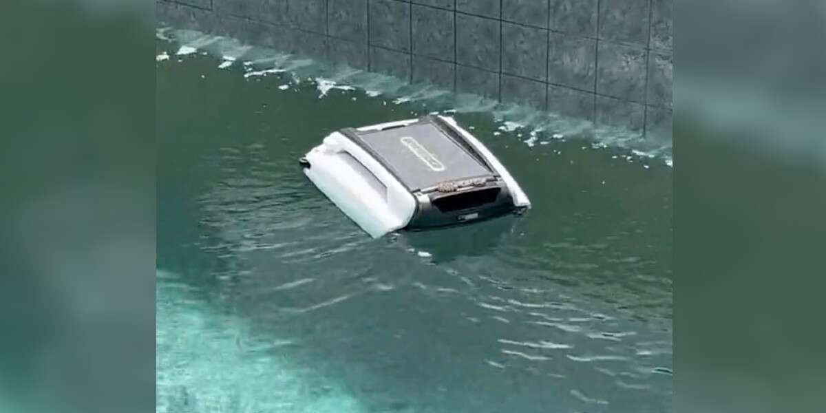 Man Is Stunned To See Someone Dangerous Floating On Pool Skimmer - The Dodo