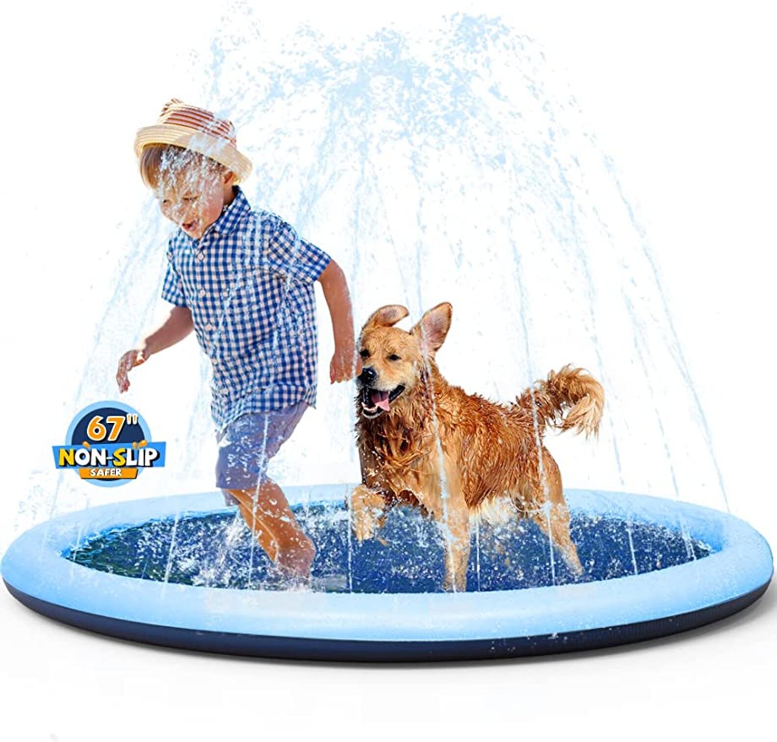 What Every Dog Needs At A Pool Party - DodoWell - The Dodo