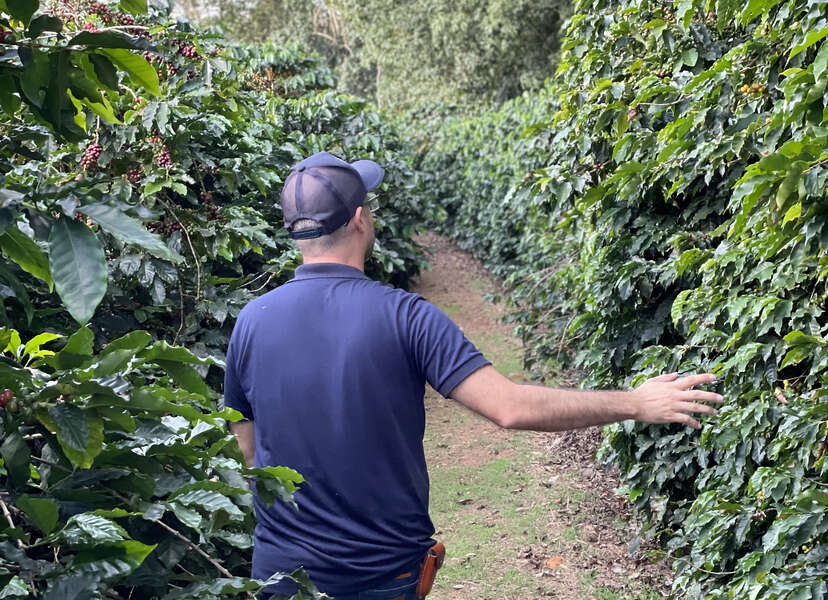 Aquarela Is Serving Some of the Best Sustainable Coffee in LA - Thrillist