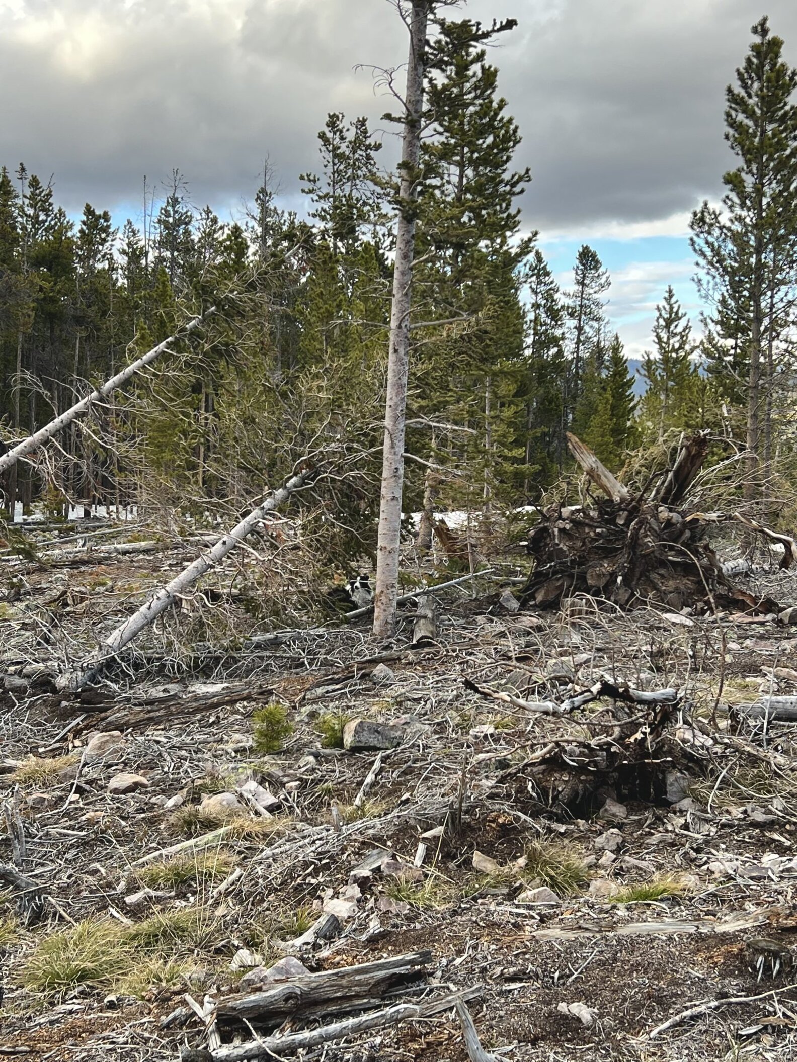 Hiker Hears Cry For Help On A Mountain And Solves A Months-Long Mystery ...