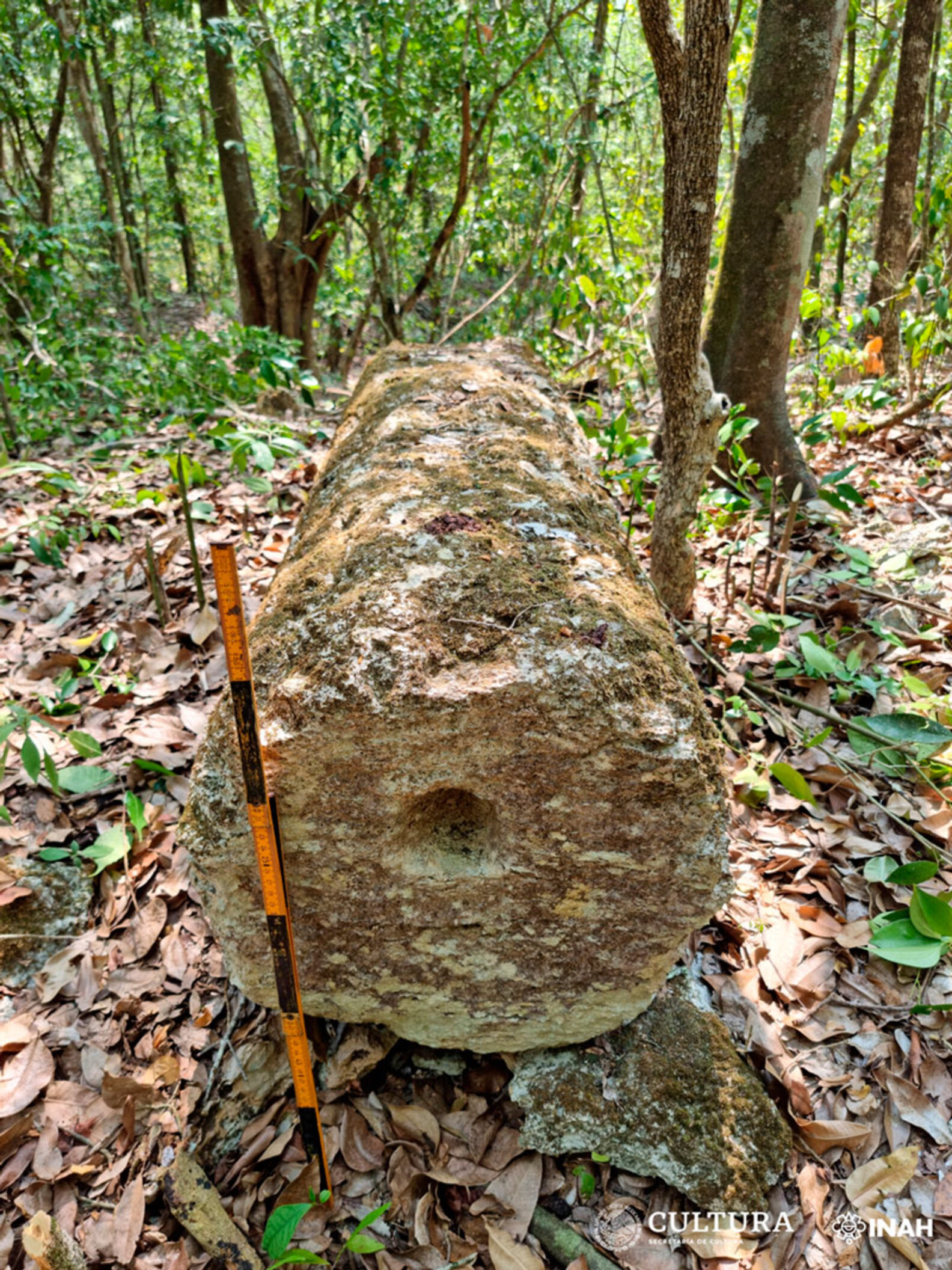 Ancient Mayan City Discovered in Yucatan Peninsula's Jungles - Thrillist