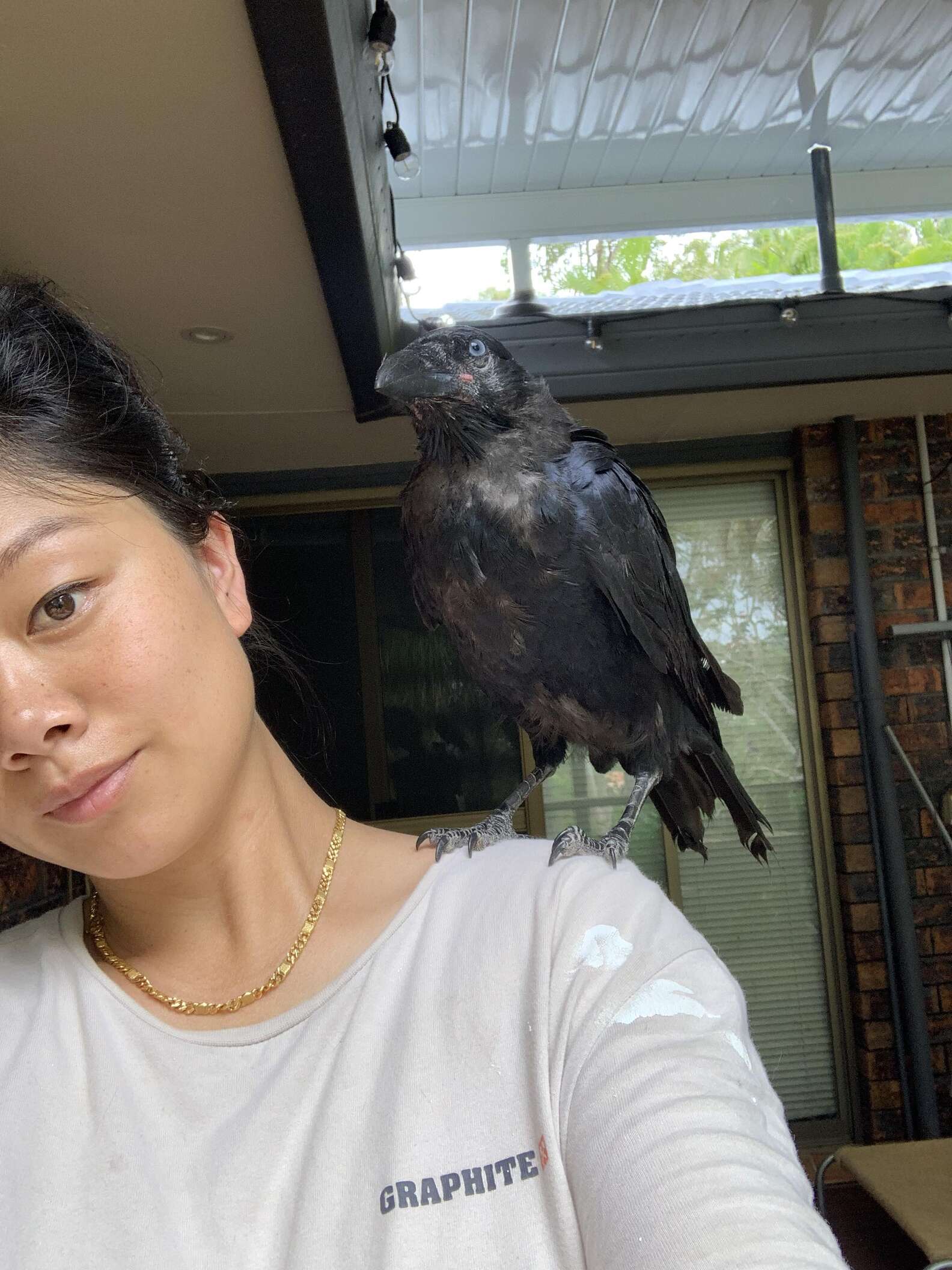 Rescued Baby Raven Can’t Wait To Wake His Mom Up Every Morning - The Dodo