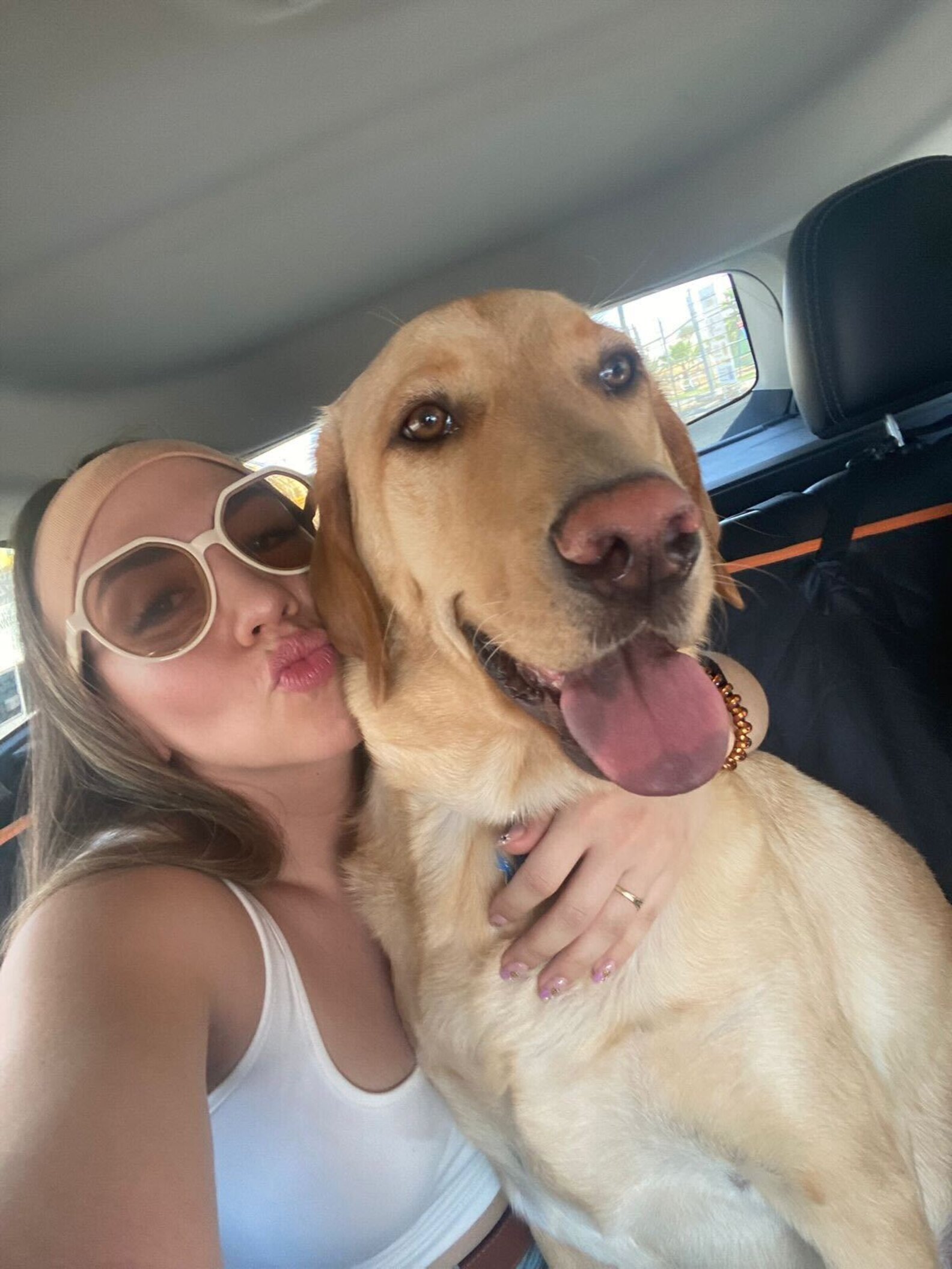 Dog Gives Owner The Cold Shoulder After Catching Her With Another Pup ...