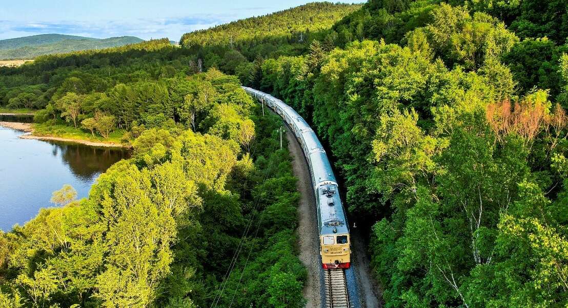 A New 'Forest Train' for Tourists Launched in Northeast China - Thrillist