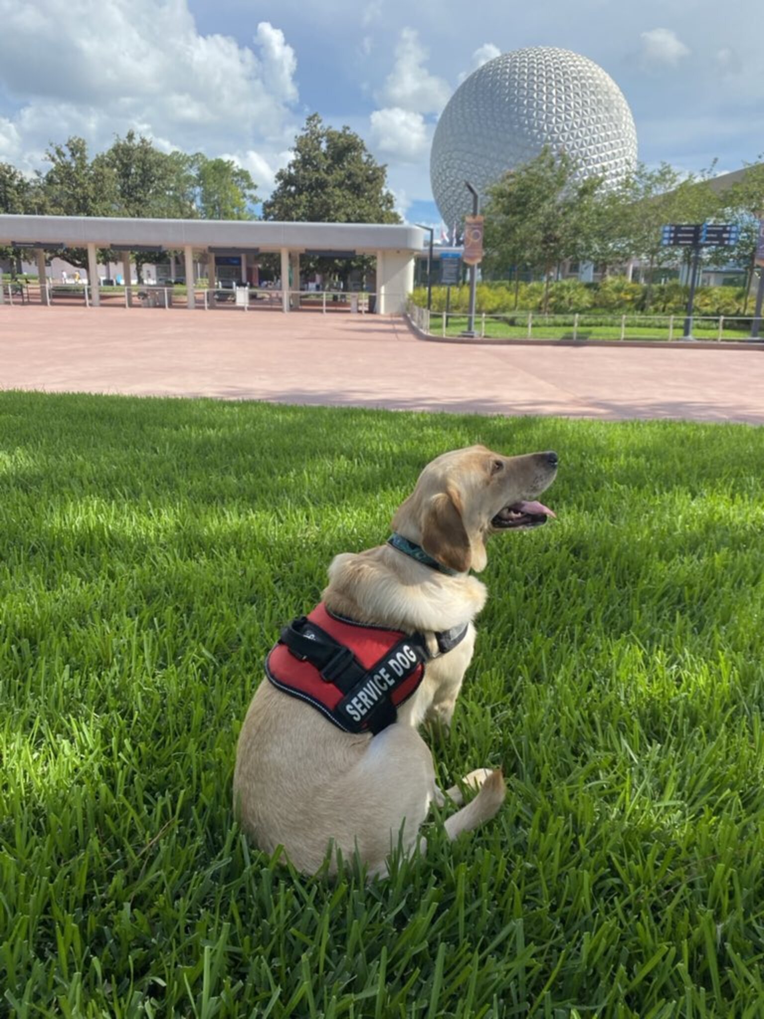 Professional Good Girl Meets Her Favorite Disney Character And Melts In ...