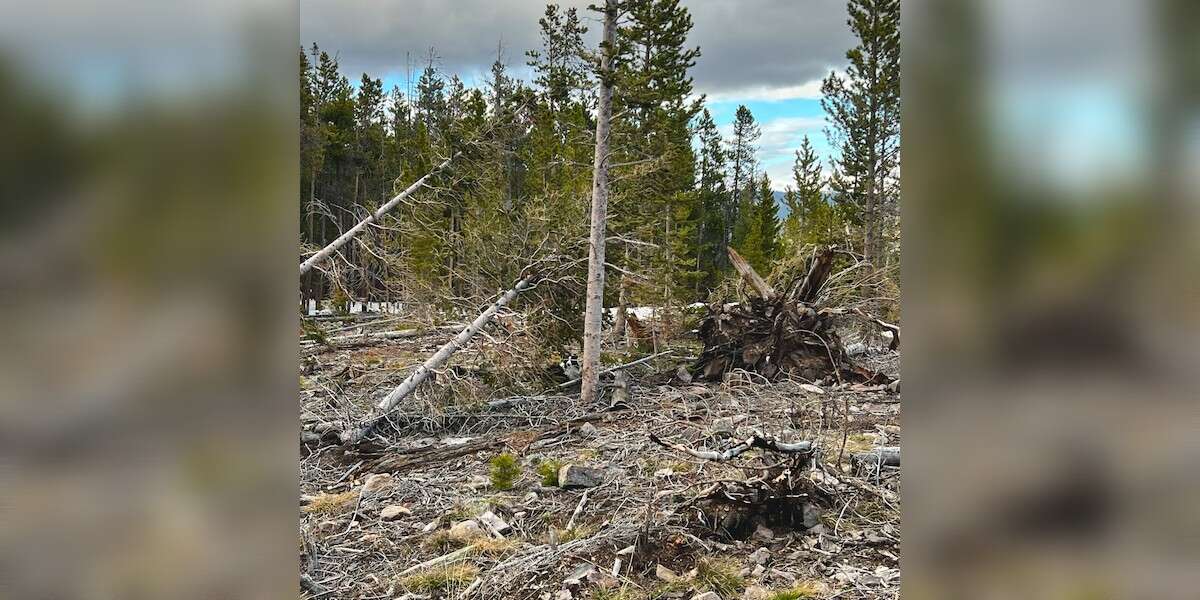 Hiker Hears Cry For Help On A Mountain And Solves A Months-Long Mystery ...