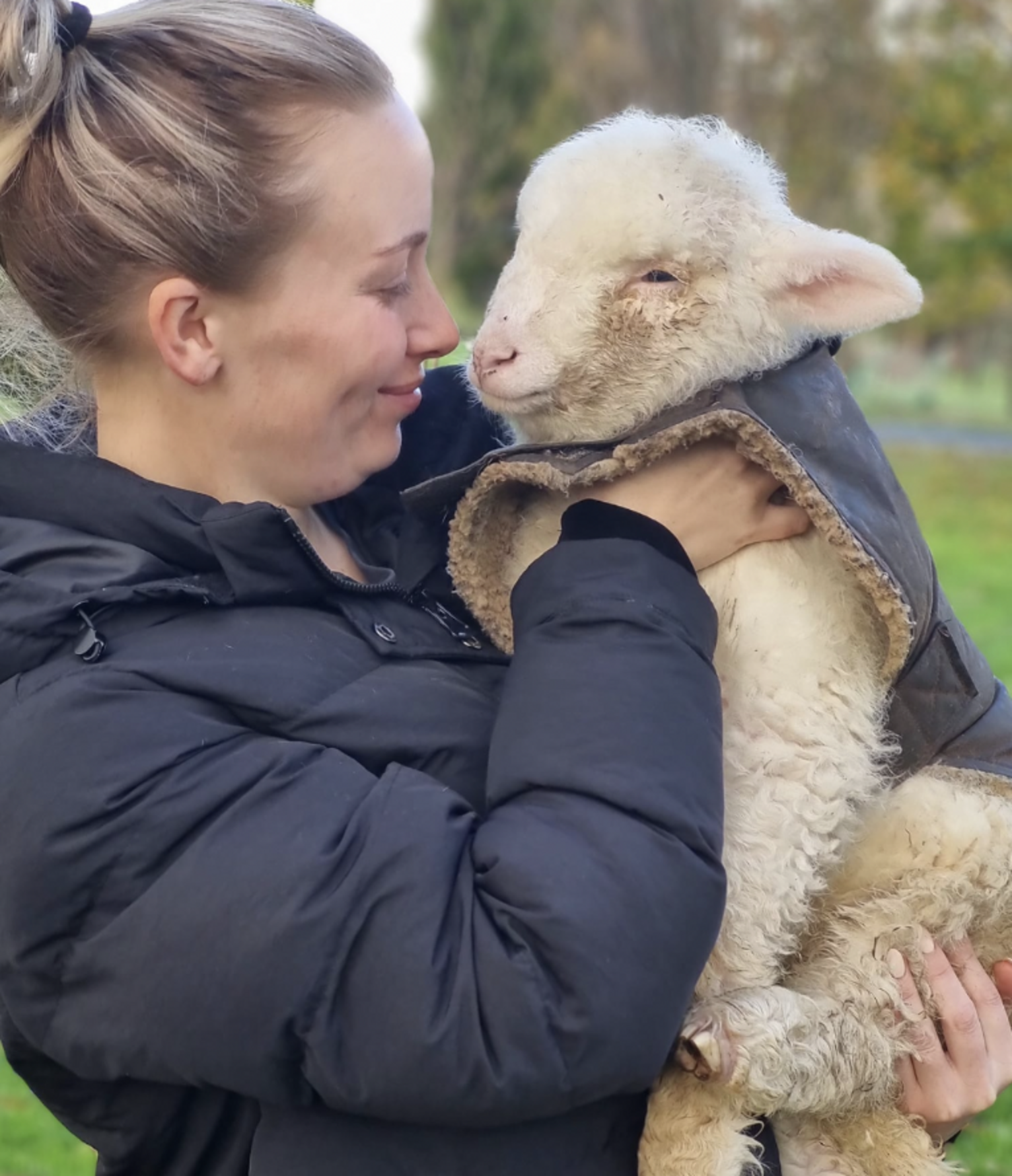 Orphaned Lamb Reunites With Rescuer And Immediately Melts In Her Arms ...
