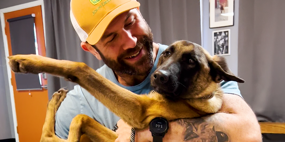 Guy Rescues A Malinois Puppy And Changes His Life - Videos - The Dodo