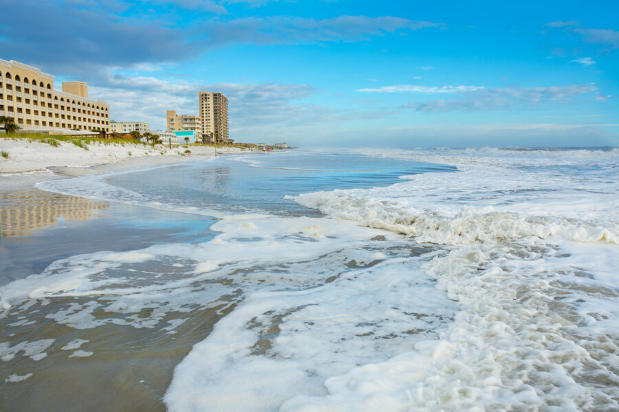 Weed Washes Ashore Florida Beach, Confused for Seaweed - Thrillist