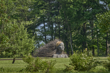 Best Nature Spots in Chicago for Relaxing - Thrillist