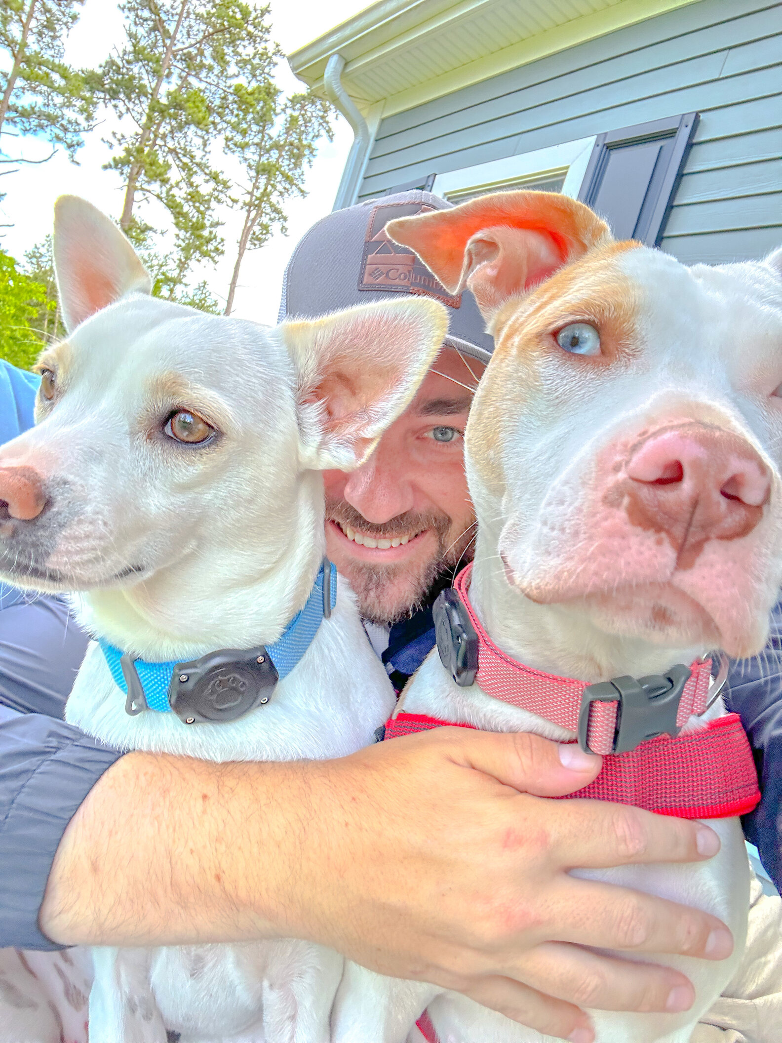 Guy Who 'Never Wanted A Dog' Now Goes All Out Celebrating His Rescue ...