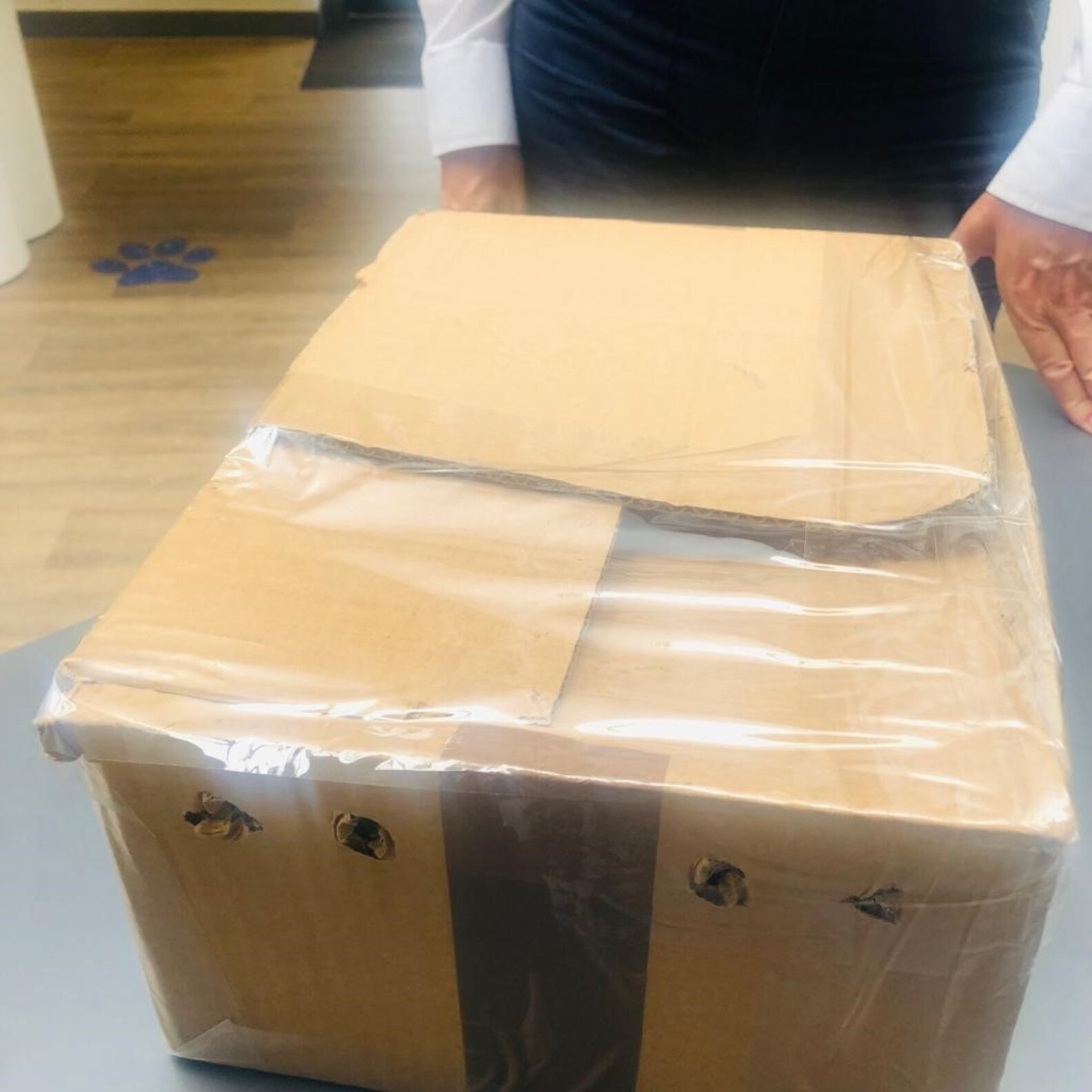 Shelter Receives Sealed Cardboard Box And Races To Save Whoever's ...