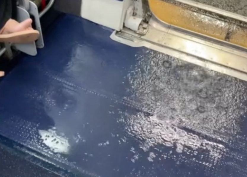 Viral TikTok Shows Delta Passenger Getting Soaked by Rain Entering ...