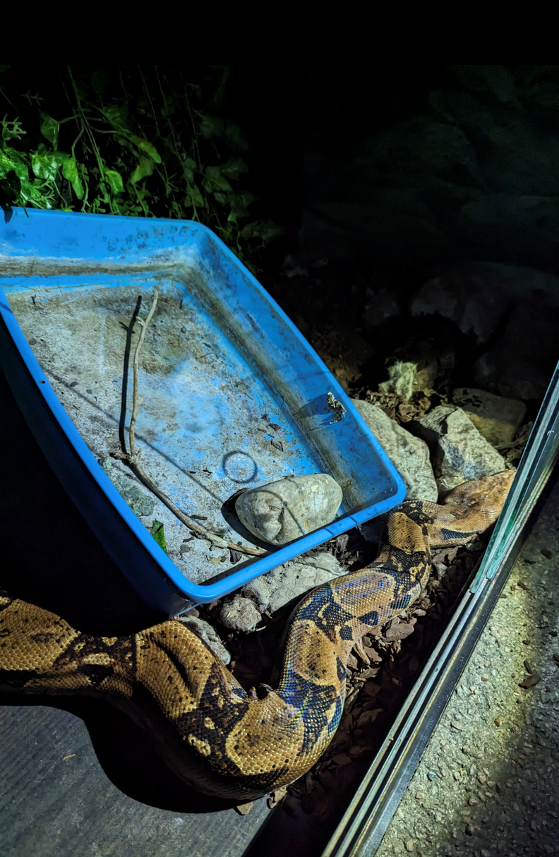 Family Finds Large Tank Blocking Driveway And Can't Believe Who's ...