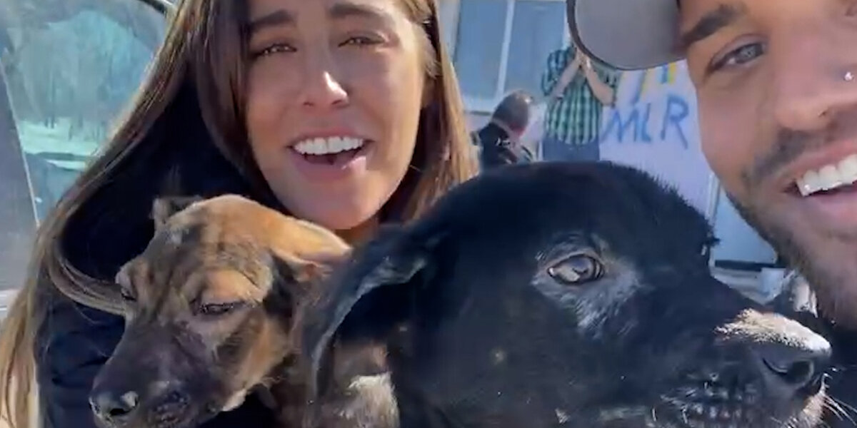 Couple Saves 200 Animals Before Traveling The World To Save More ...