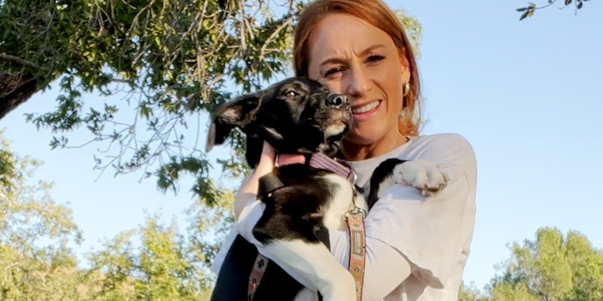 Woman Rescues 3 Dogs Just In Time - Videos - The Dodo