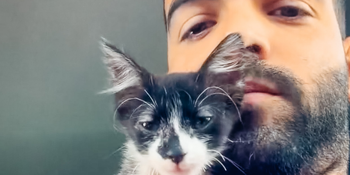 Man Rescued 70 Cats And Now Has To Rent 3 Apartments To Home Them ...