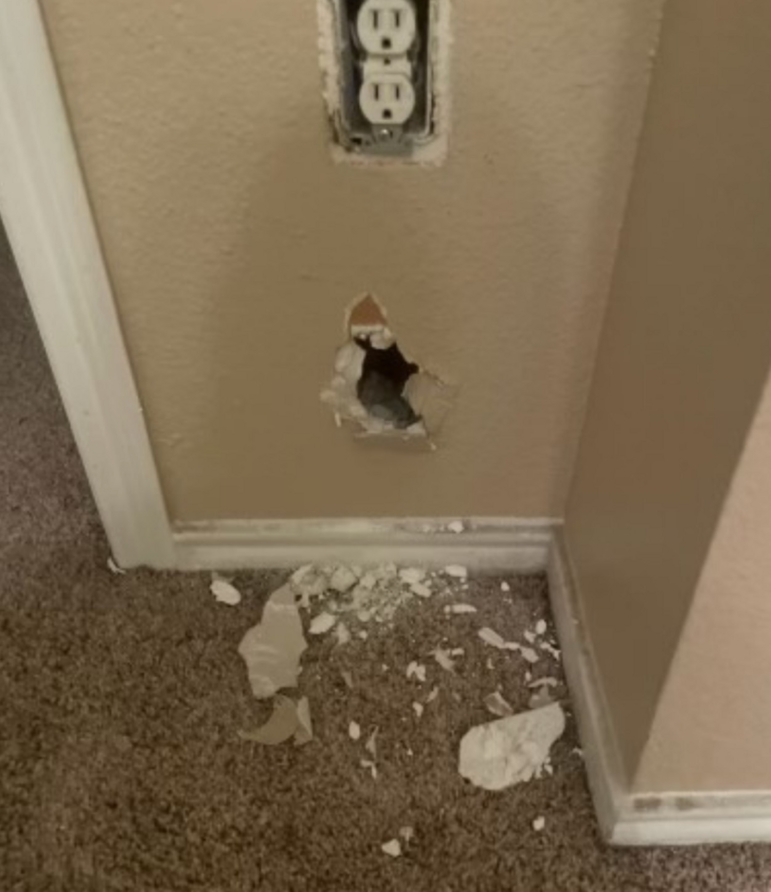 Woman Hears Odd Noises And Finds 2-Week-Old Baby Trapped Behind Wall ...