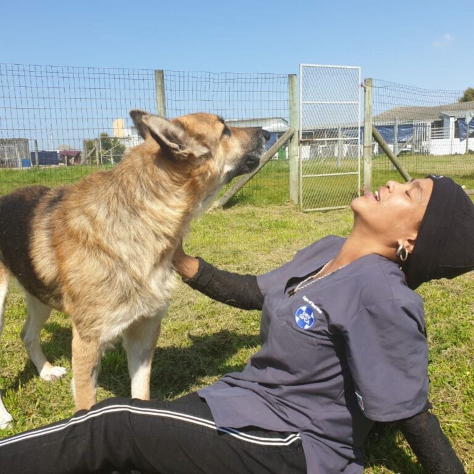 Dog Buried Alive In Sand Makes A Stunning Transformation - The Dodo