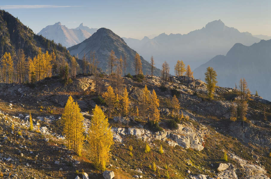Where to See Larches and Fall Foliage Near Seattle - Thrillist