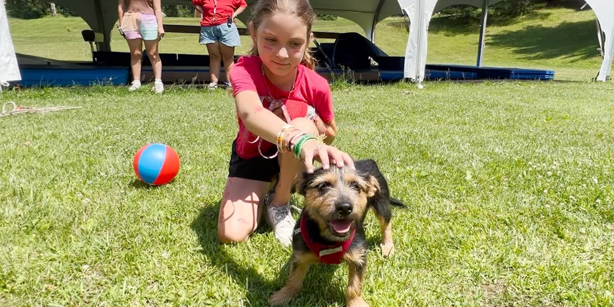 Kids Fall In Love With Rescue Puppies At Summer Camp - Videos - The Dodo