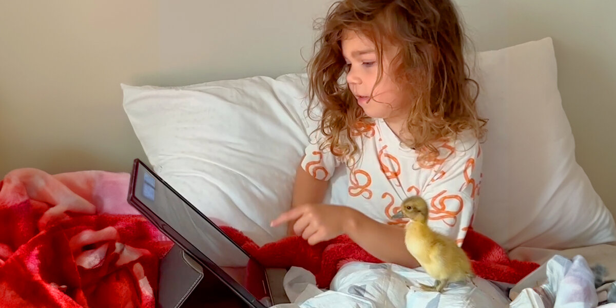 Little Girl And The Baby Duck She Rescued Are Now BFFs - Videos - The Dodo