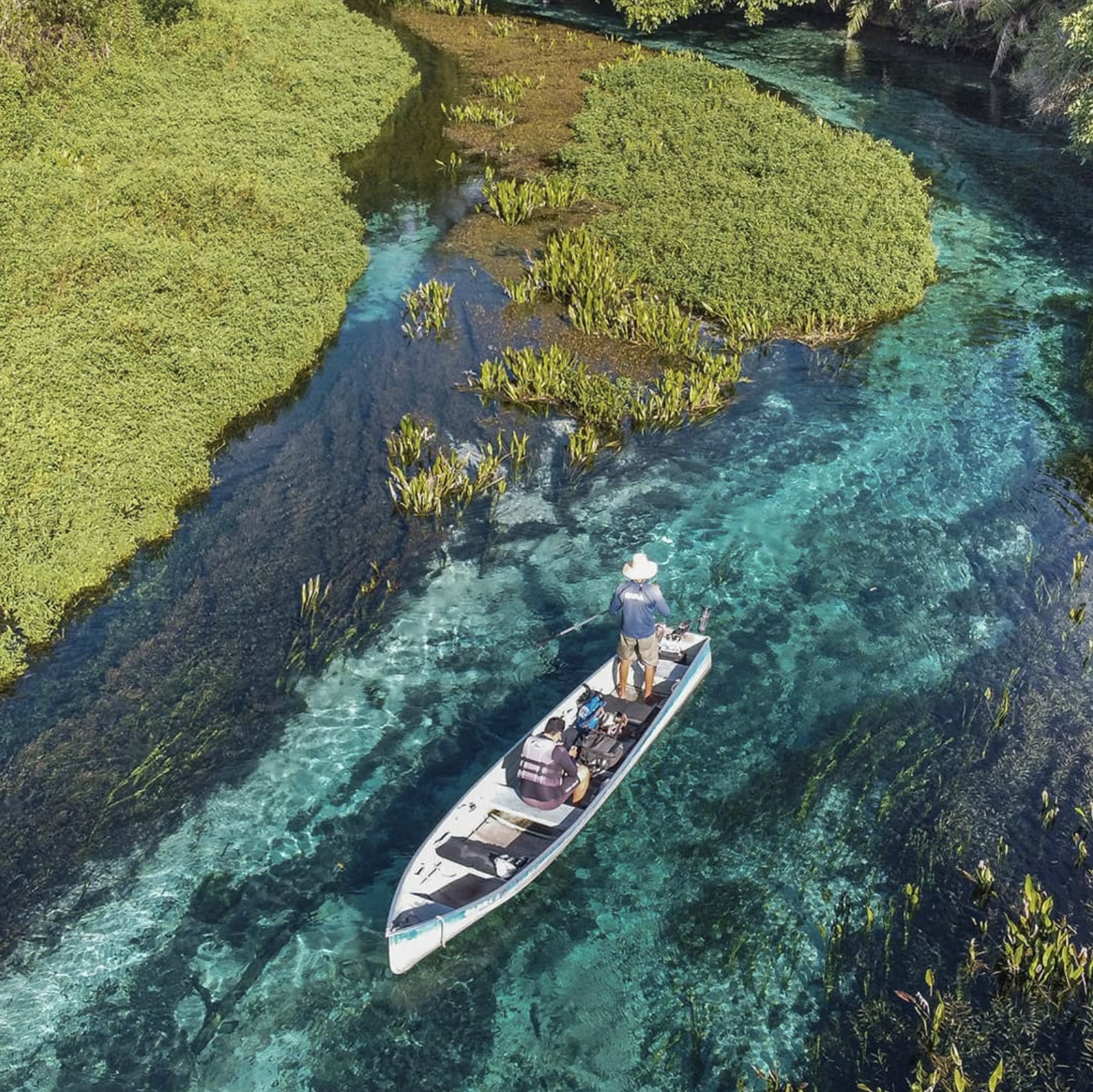 River Boat Crew Spots Someone Massive Lurking Just Below The Surface ...