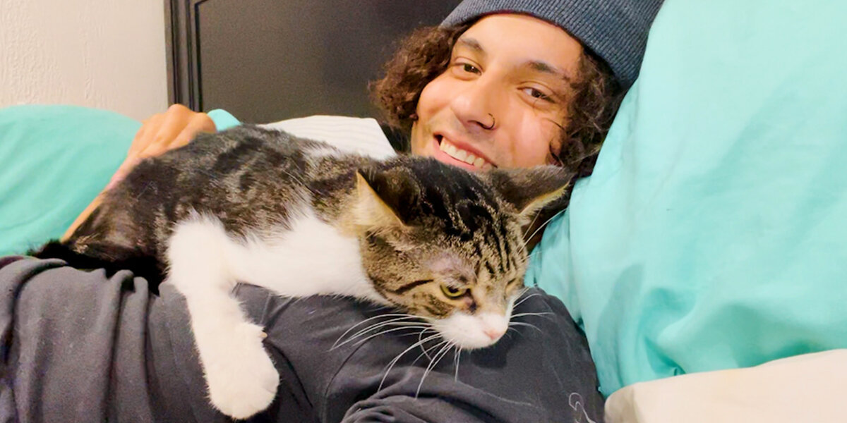 Feral Cat Does This And Wins Foster Dad Over - Videos - The Dodo