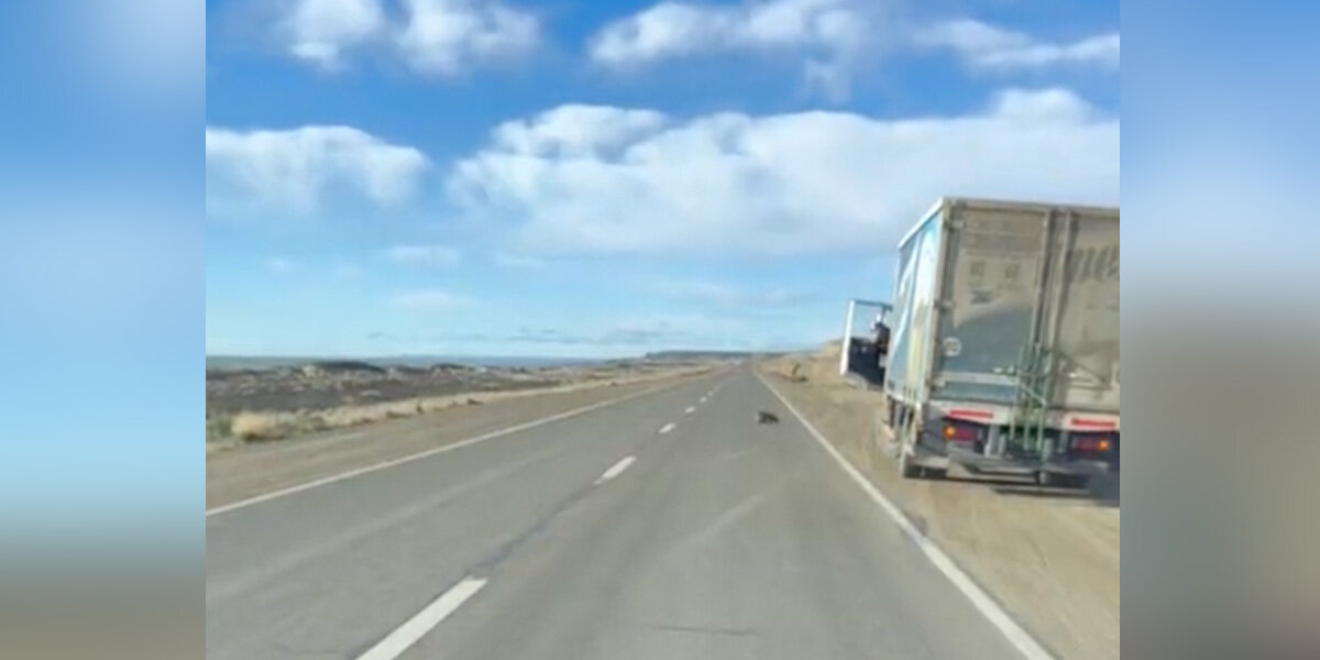 Man Sees Truck Driver Pull Off Road — Then Realizes He's Saving A Life ...