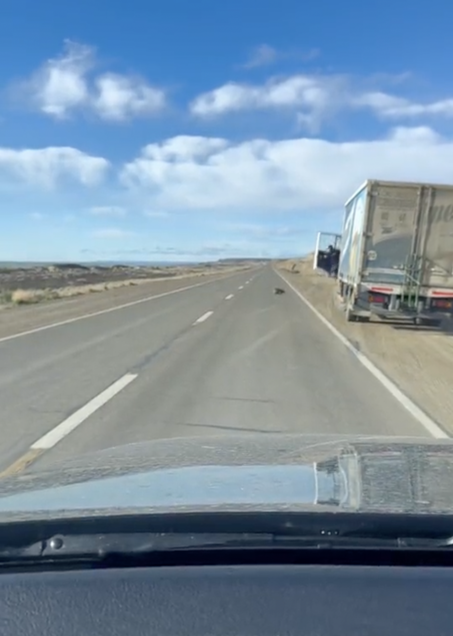 Man Sees Truck Driver Pull Off Road — Then Realizes He's Saving A Life ...