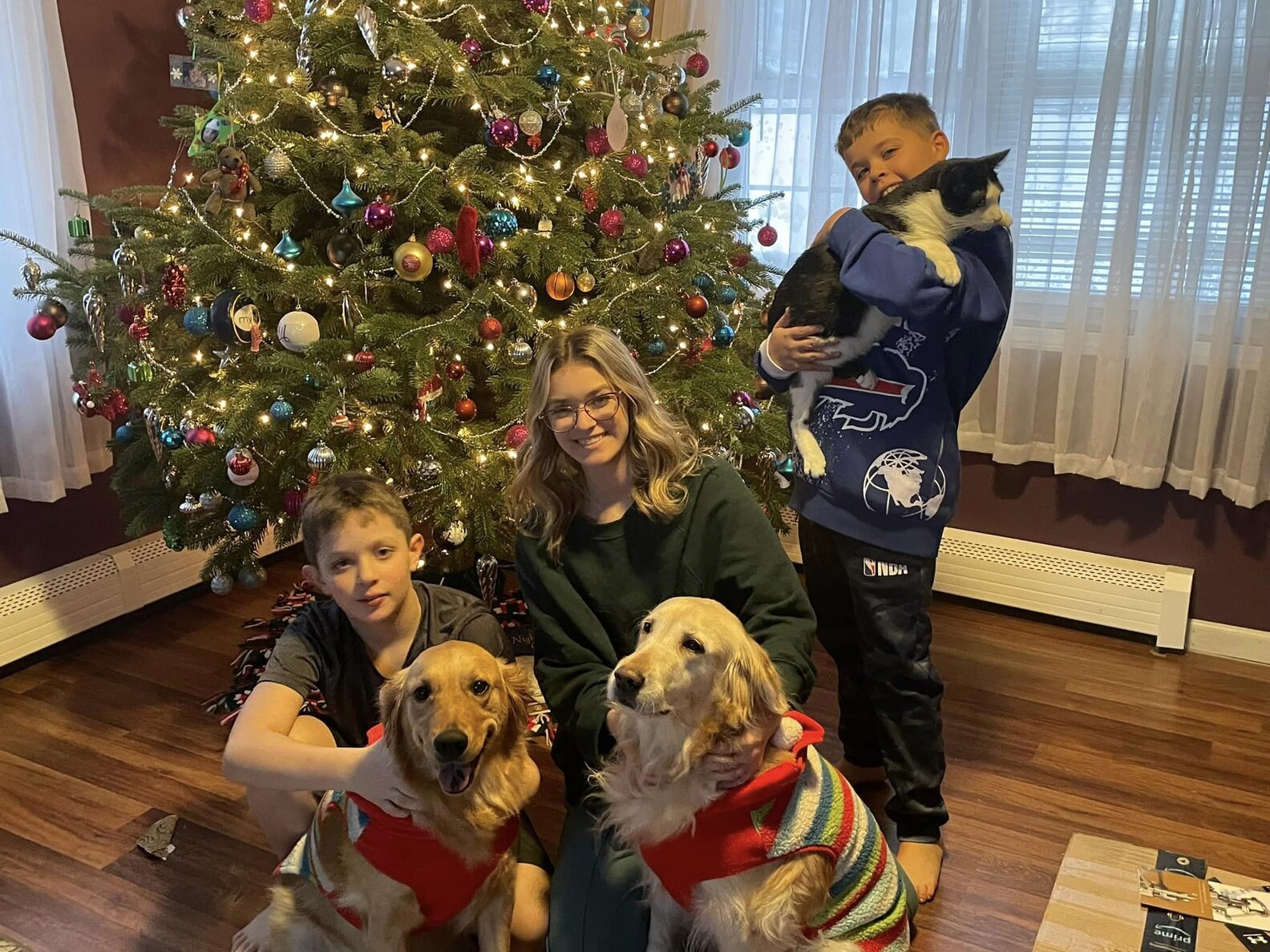 Family Learns Their Missing Dog Has Been Found In The Most Surprising ...