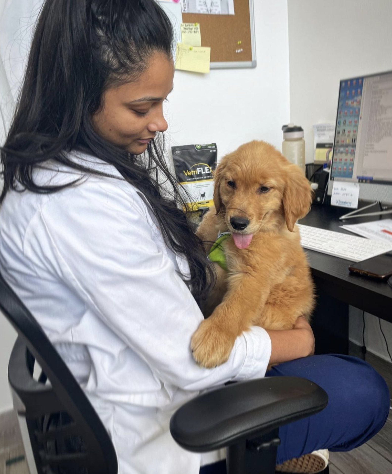 How To Get Your Dog To Actually Enjoy Visiting The Vet, According To ...