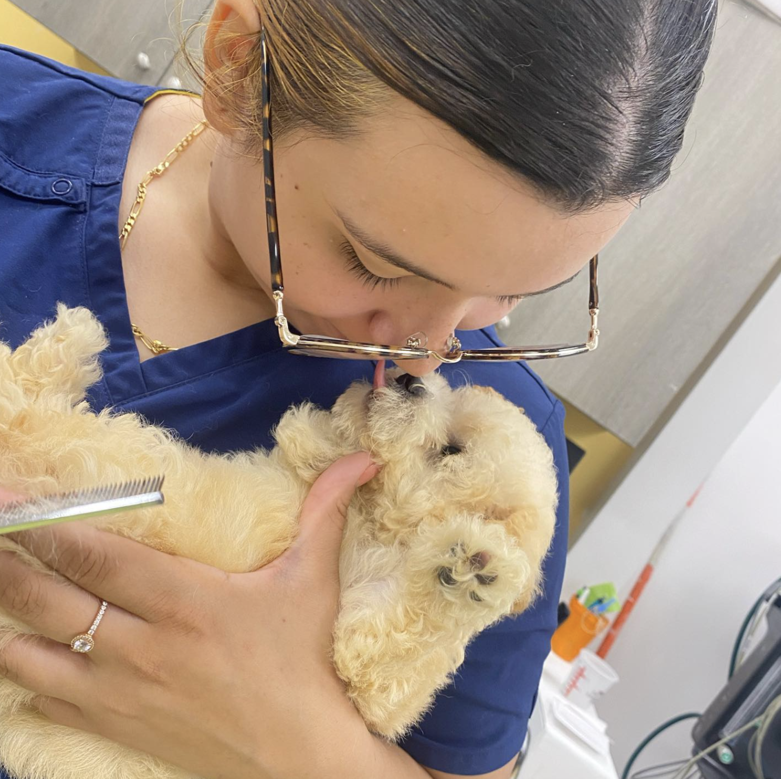 How To Get Your Dog To Actually Enjoy Visiting The Vet, According To ...