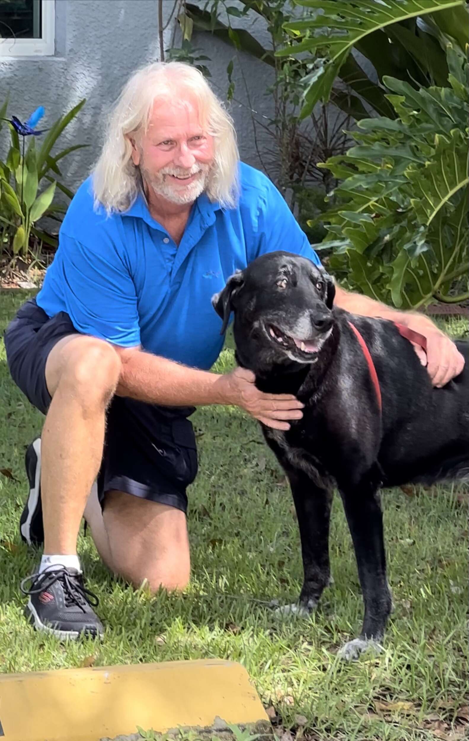 Shy Dog In Shelter For 10 Years Finally Opens Up When She Meets Her ...