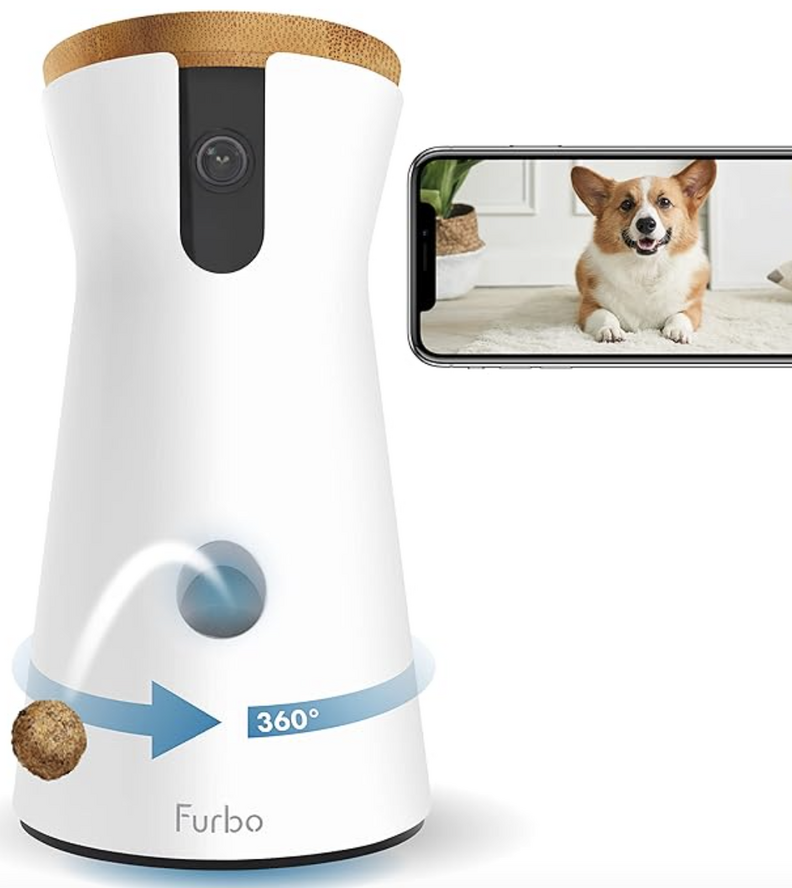 Our Favorite Pet Deals For This Amazon Prime Day - The Dodo