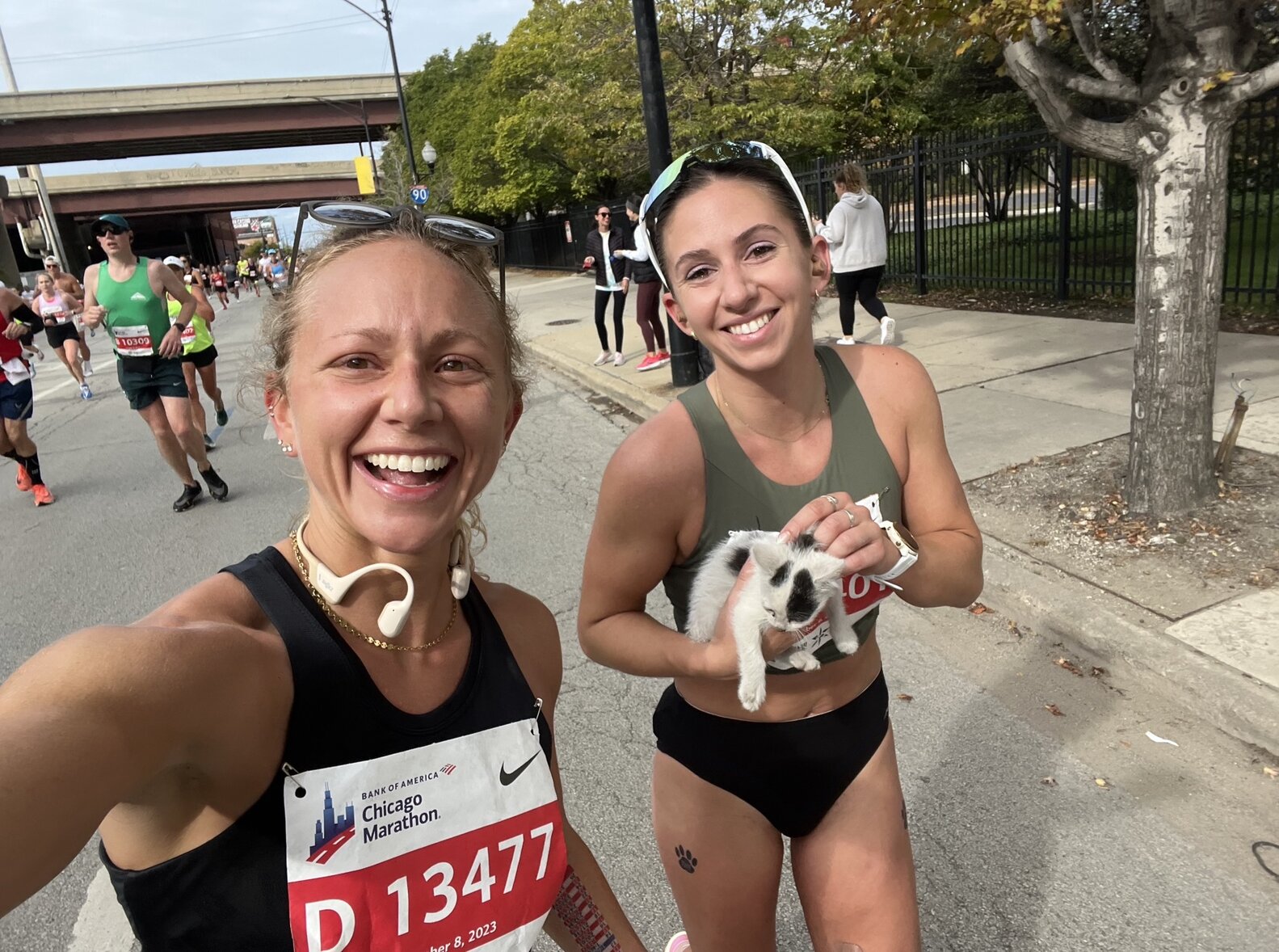 Marathon Runner Drops Everything After Spotting A Kitten In Need Of ...