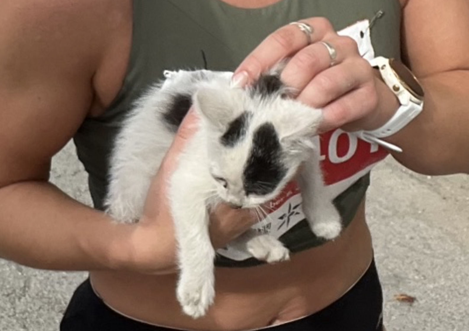 Marathon Runner Drops Everything After Spotting A Kitten In Need Of ...