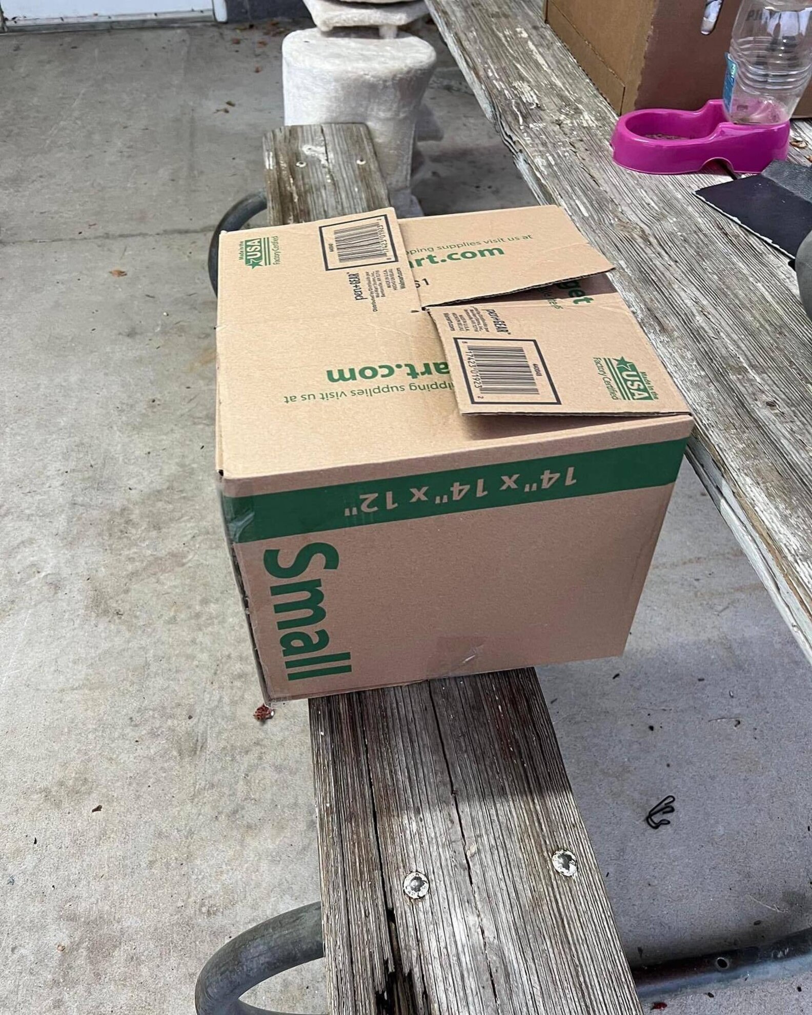 Shelter Employee Finds Box Labeled 'Small' And Hears Someone Inside ...