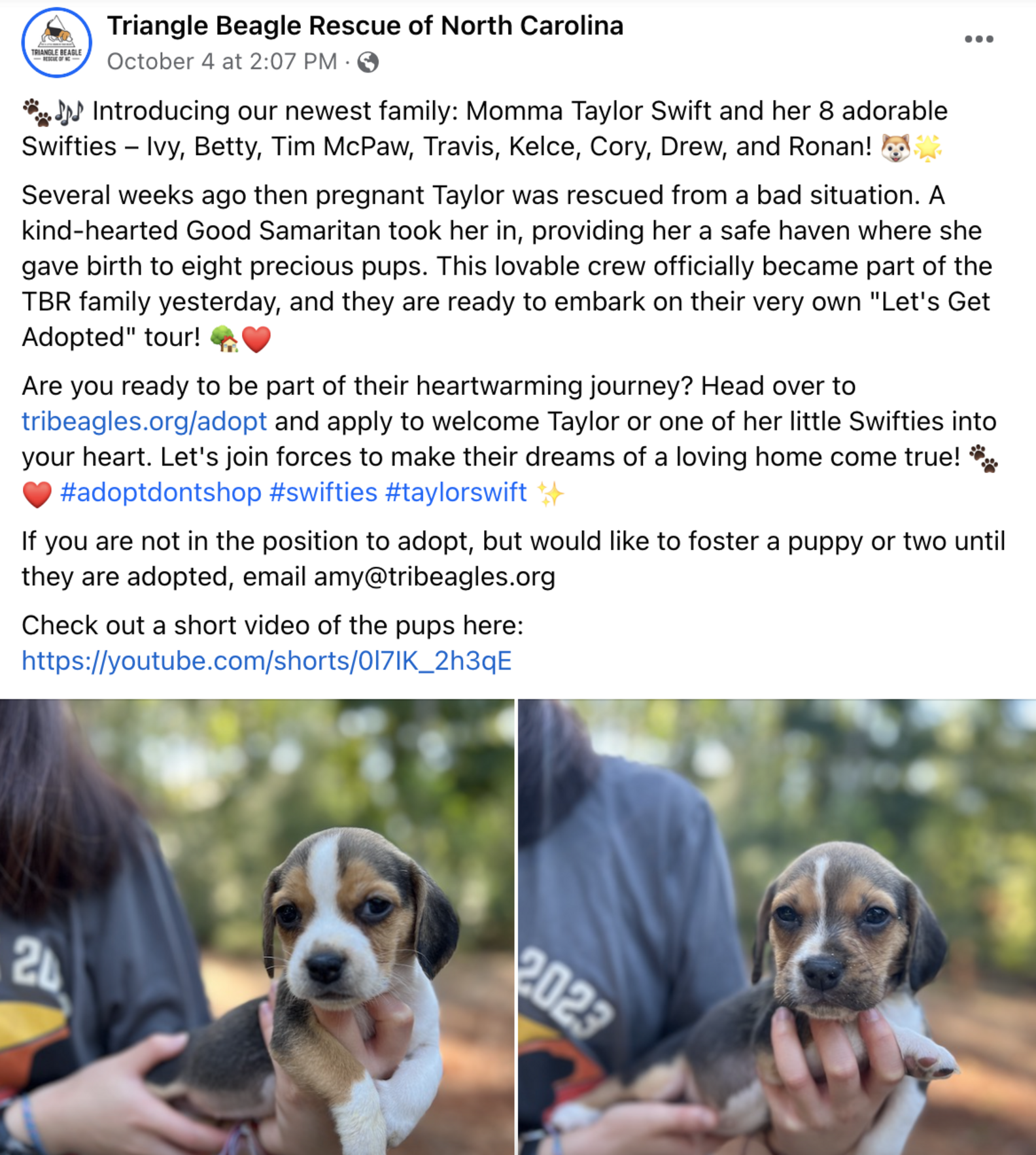 Adoptable Animals Named In Honor Of Travis Kelce And Taylor Swift - The ...