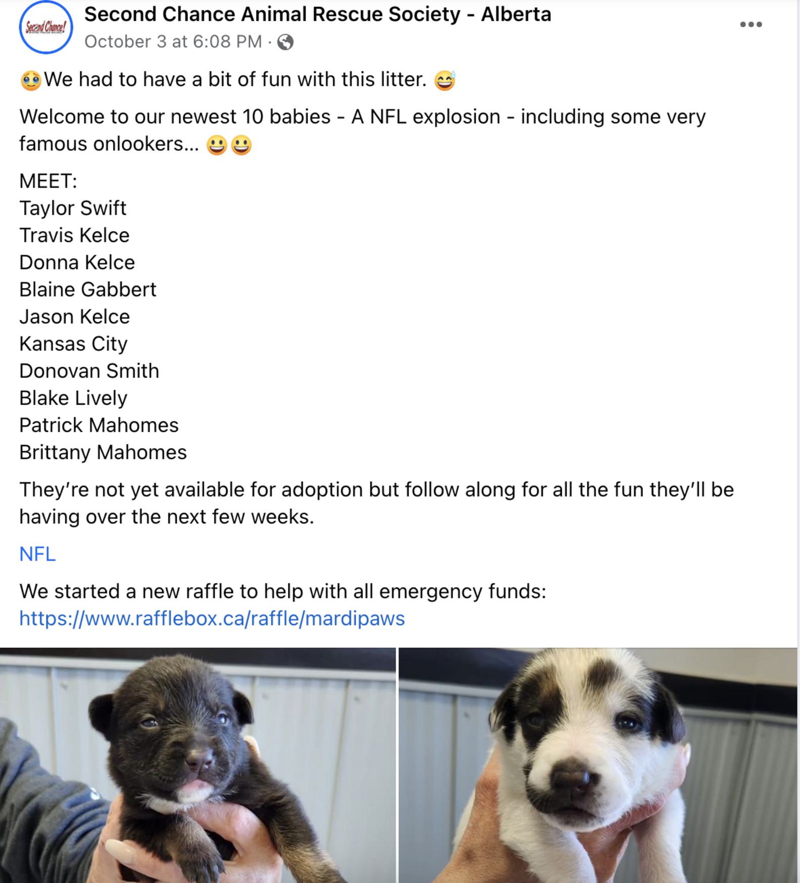 Adoptable Animals Named In Honor Of Travis Kelce And Taylor Swift - The ...