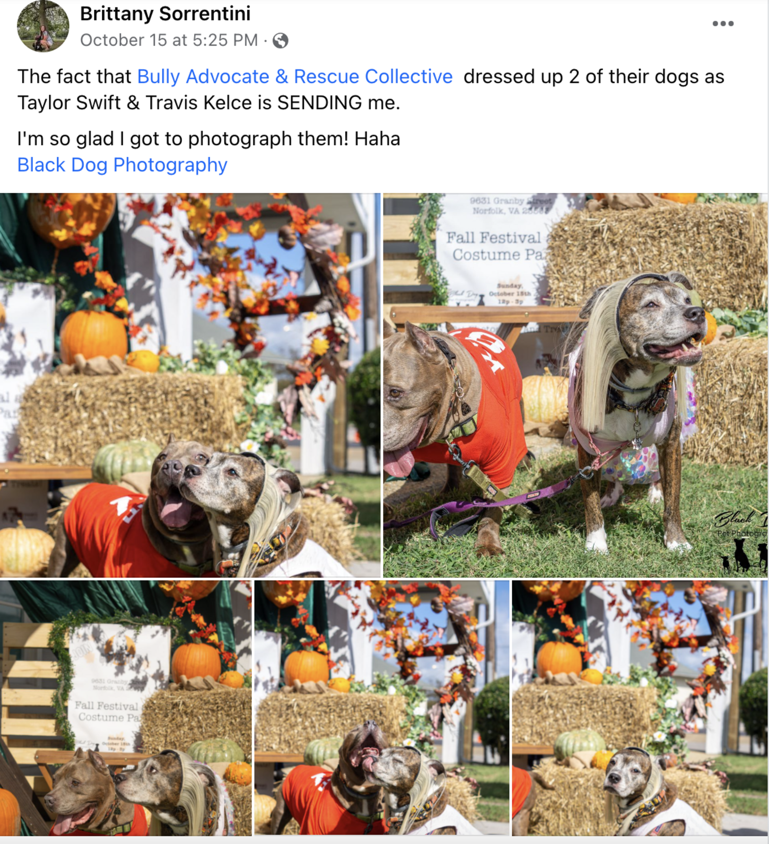 Adoptable Animals Named In Honor Of Travis Kelce And Taylor Swift - The ...