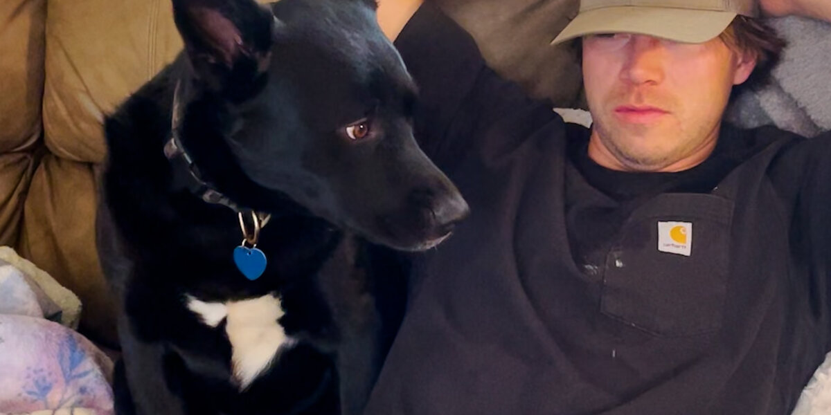 Woman Brings Home A Dog Hoping Her Family Gets Along With Him - Videos ...