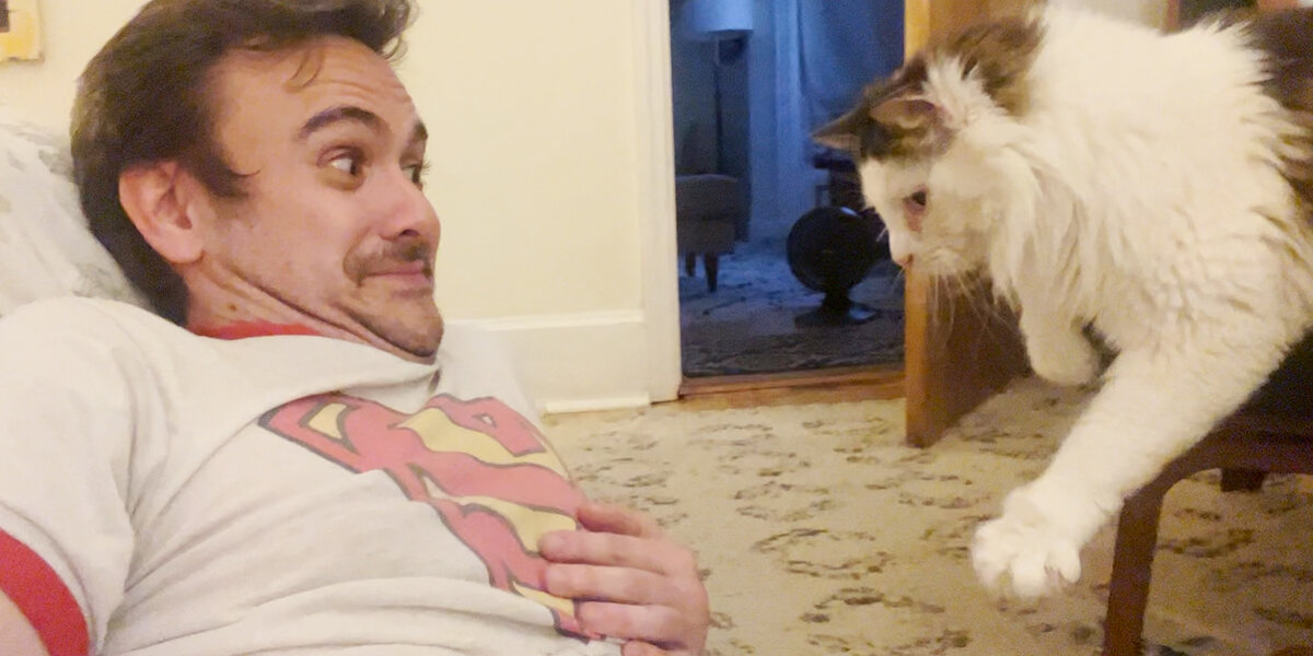 Guy Falls Into "Toxic Love" With His Stalker Foster Cat - Videos - The Dodo
