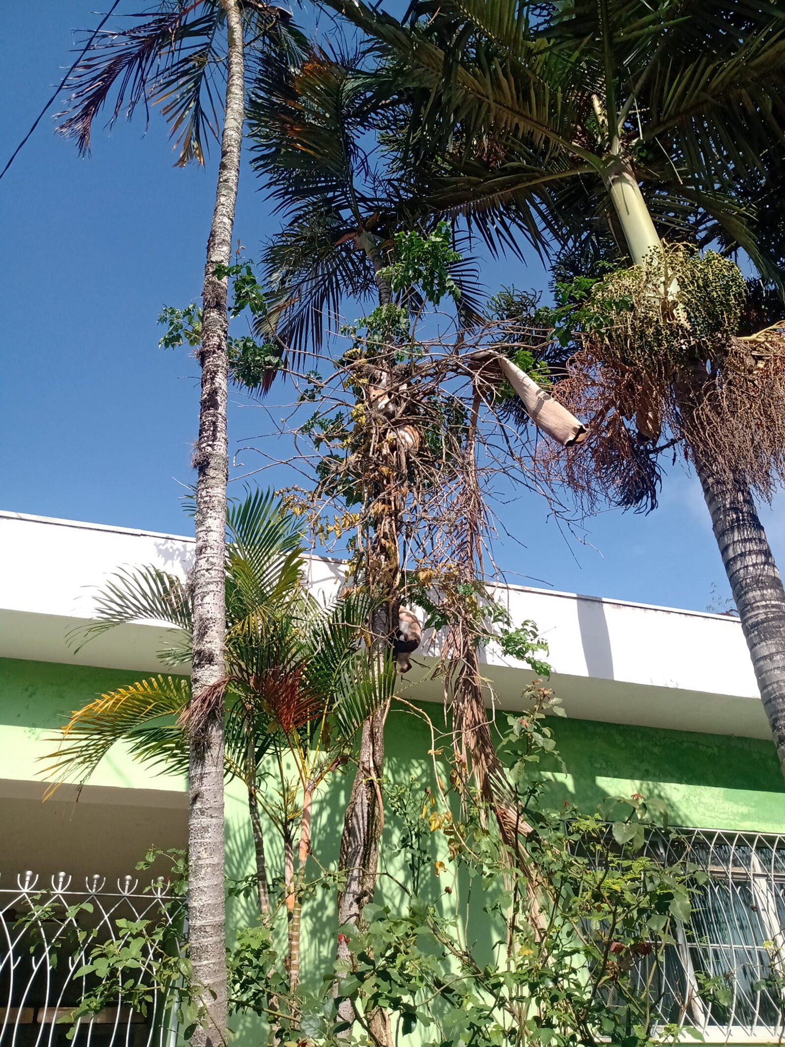 Woman Walking To Work Suddenly Realizes She's Being Watched From Above ...